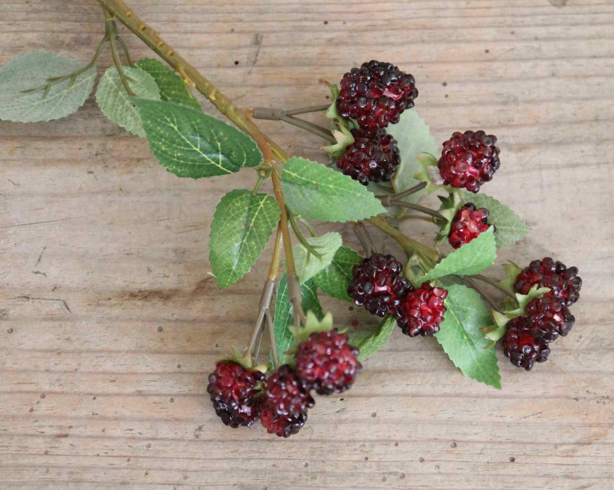 Autumn Blackberry Stem | Closet & Botts