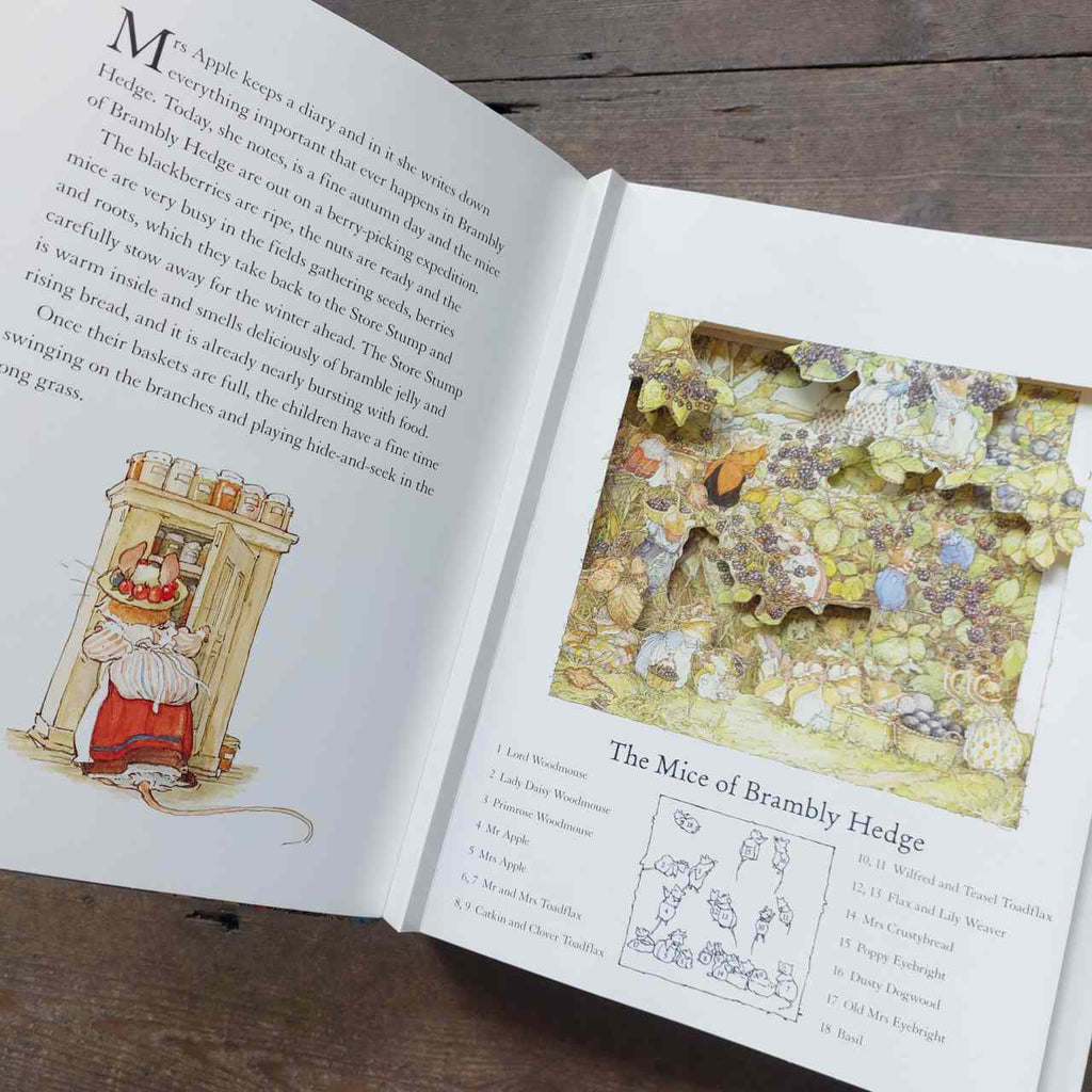 The Brambly Hedge Pop Up Book | Closet & Botts