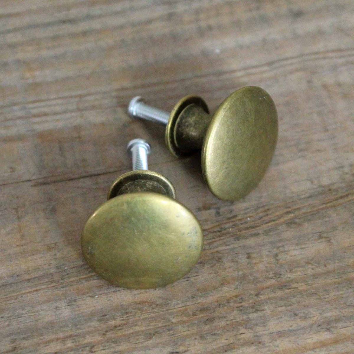 Small Brass Button Knob – Closet & Botts
