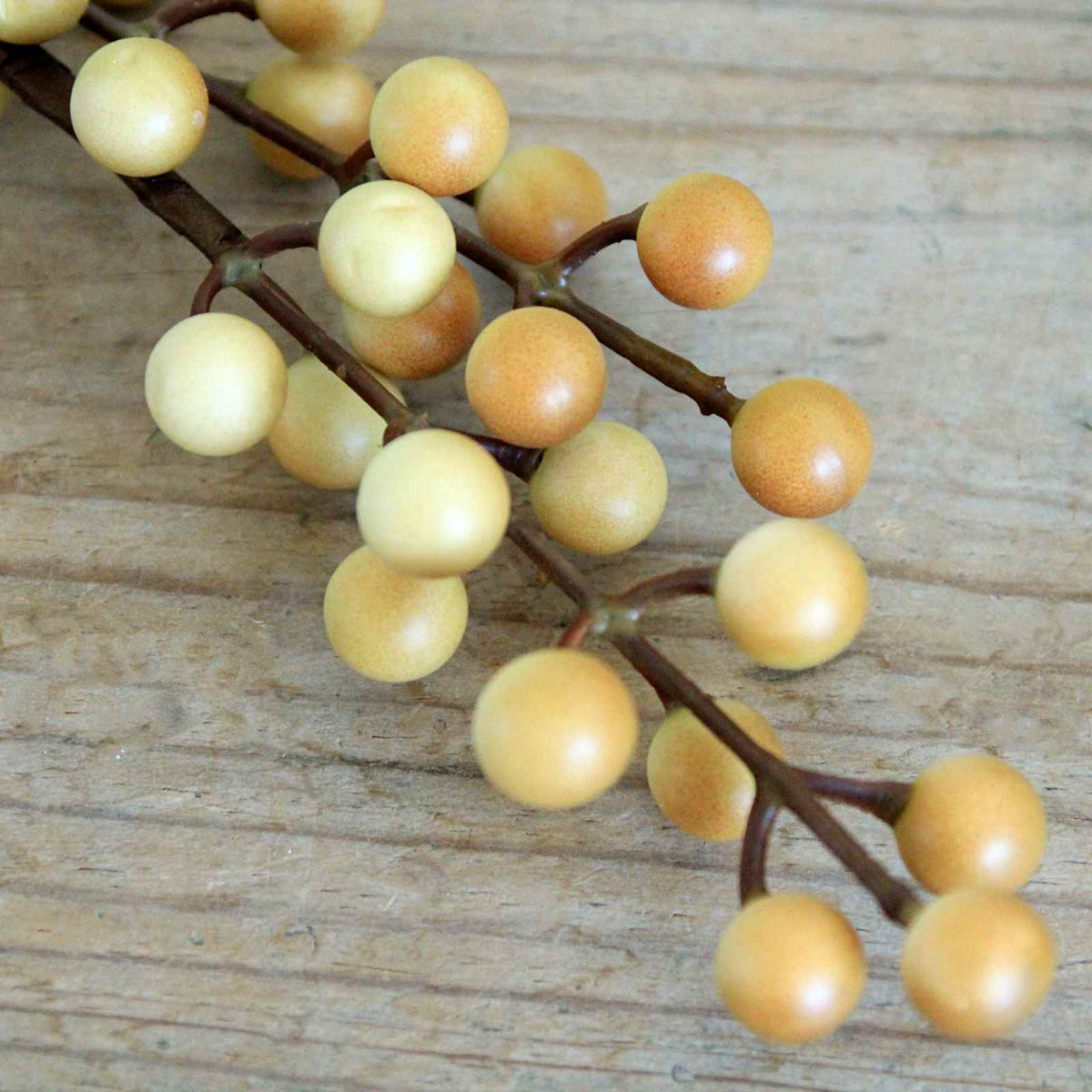 Berry Stem - Cream – Closet & Botts