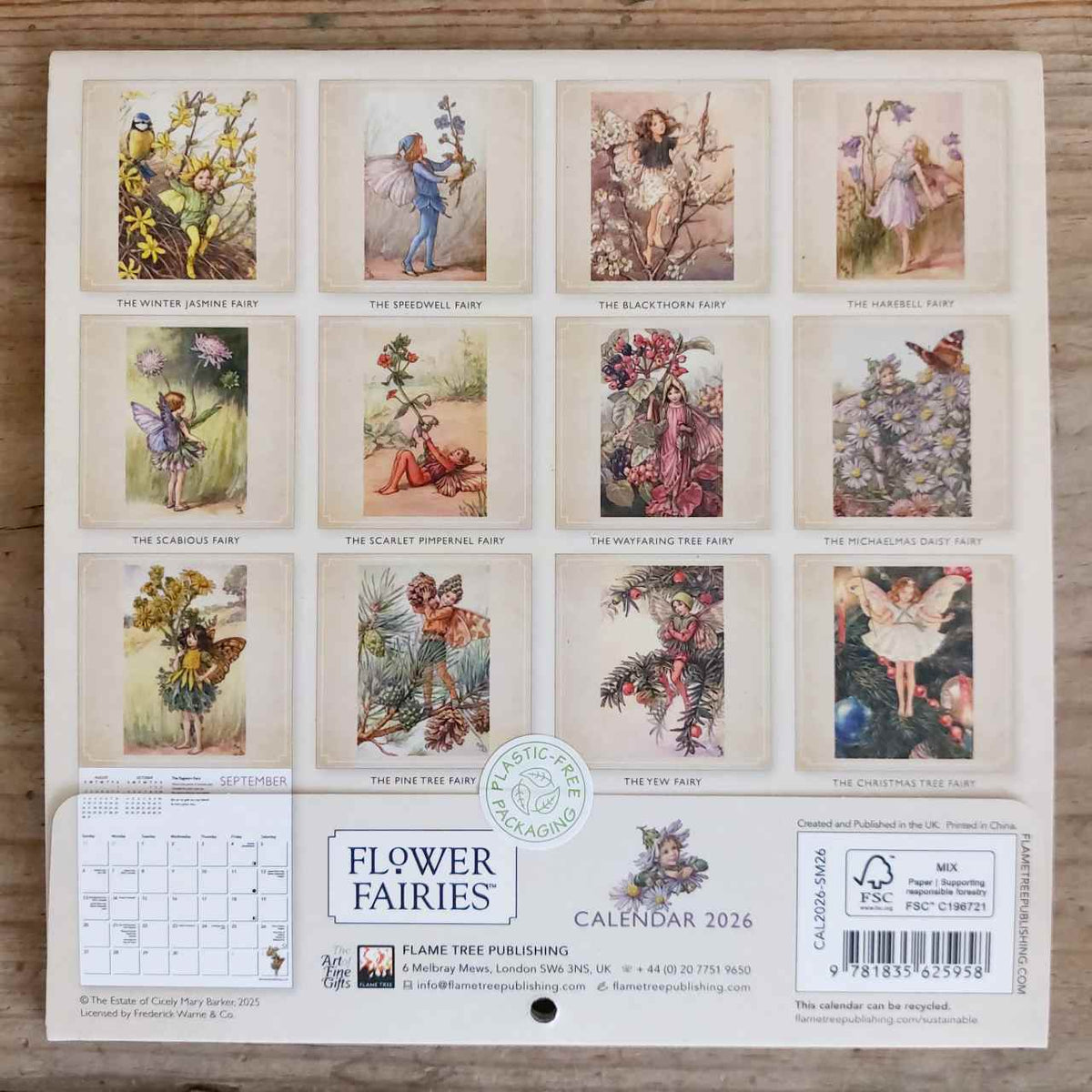 Flower Fairies 2026 Mini Wall Calendar – Closet & Botts