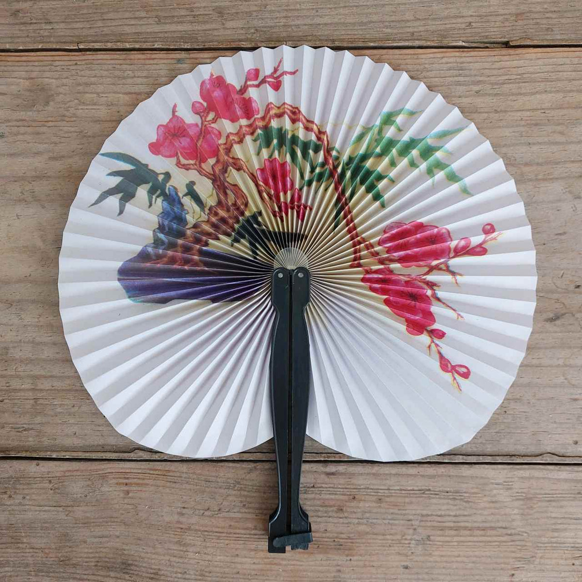 Folding Paper Fan | Closet & Botts