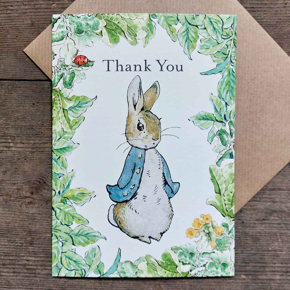 Peter Rabbit Thank You Card – Closet & Botts