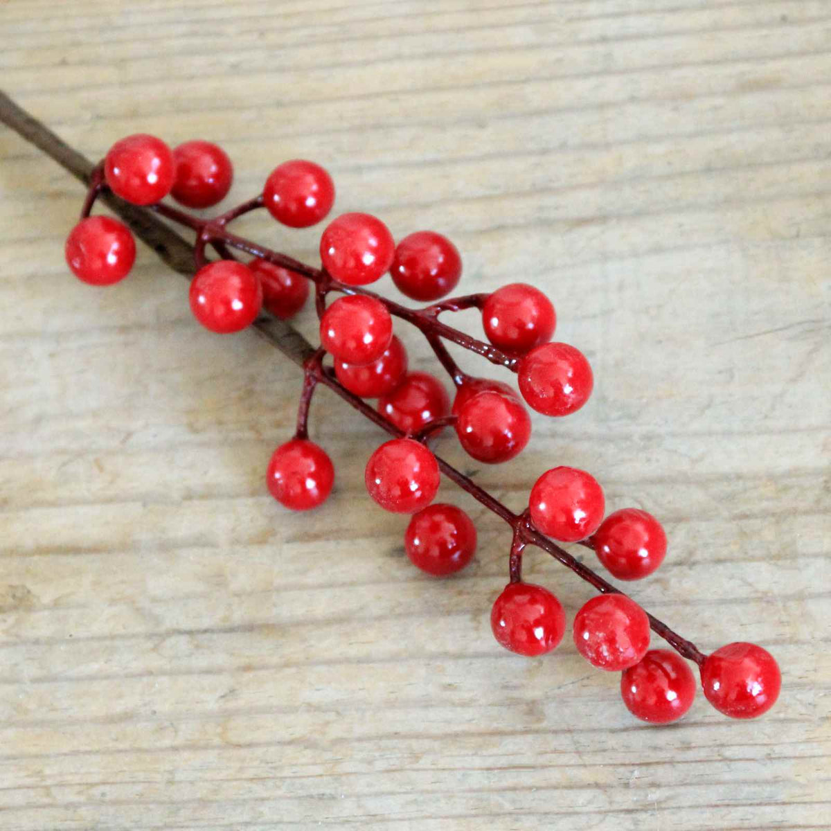 Berry Stem - Red – Closet & Botts