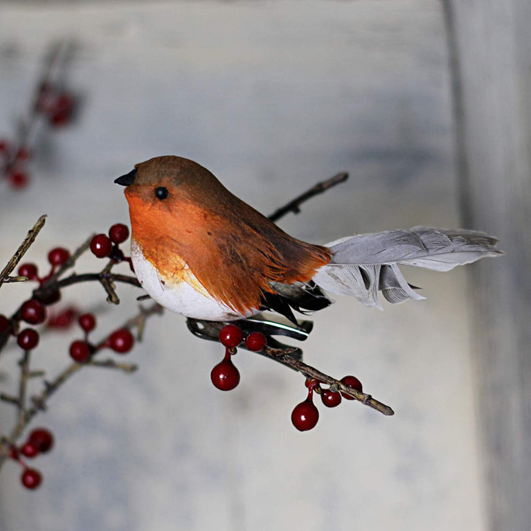 Feather Robin Decoration – Closet & Botts