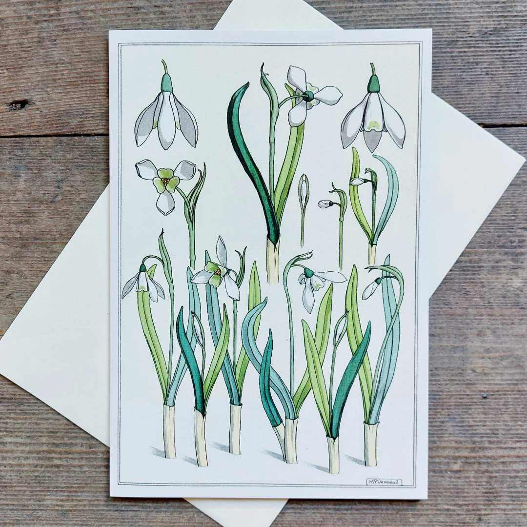 Snowdrops - Vintage Greeting Card | Closet & Botts