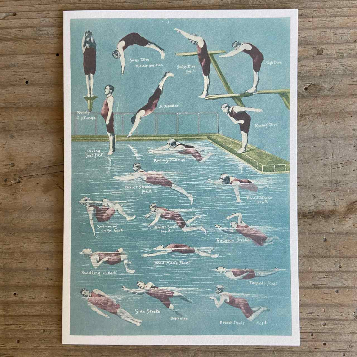 Swimmers Greeting Card – Closet & Botts