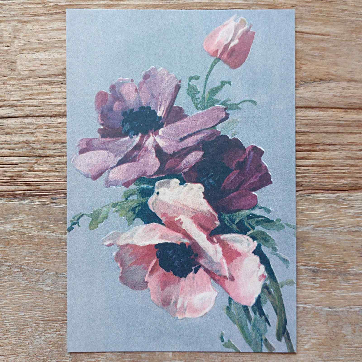 Vintage Flower Postcard | Closet & Botts
