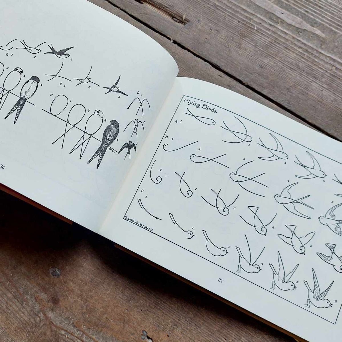 What To Draw and How To Draw It – Closet & Botts