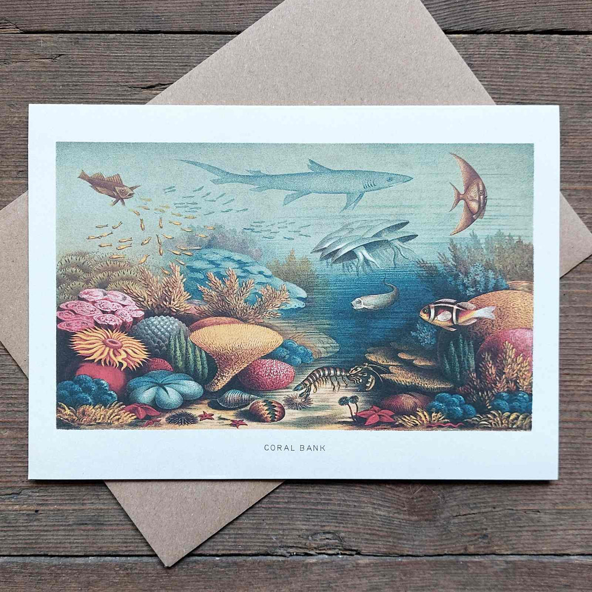 Coral Bank - Greeting Card | Closet & Botts