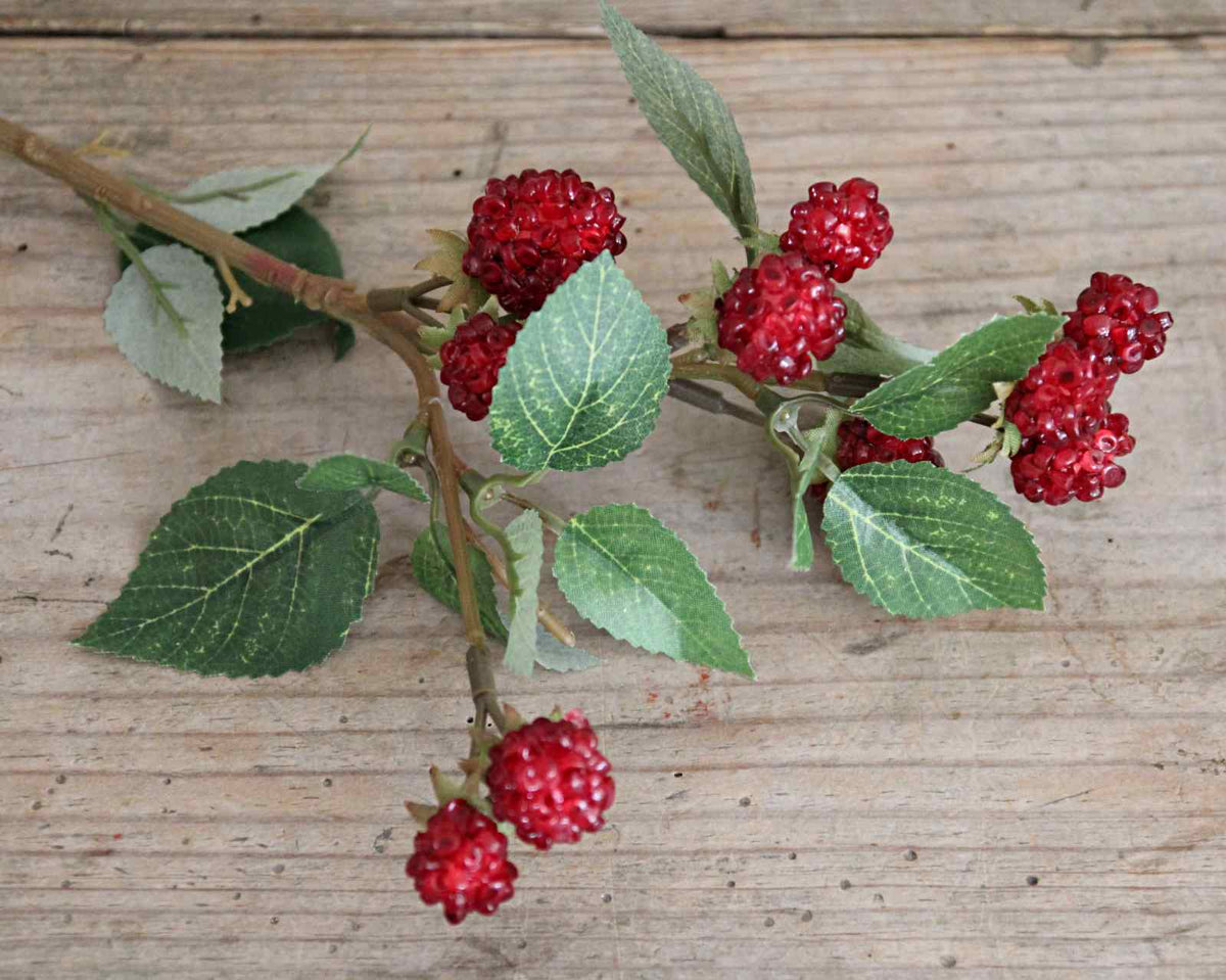 Autumn Blackberry Stem | Closet & Botts