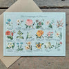 Language of Flowers Vintage Card – Closet & Botts