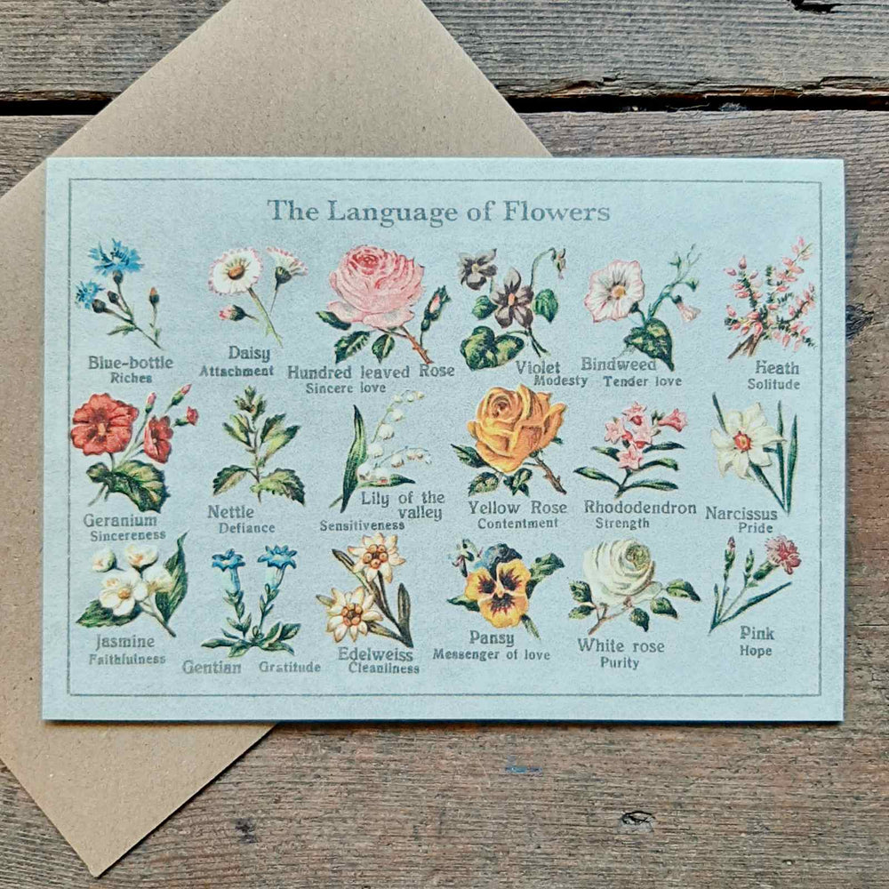 Language of Flowers Vintage Card – Closet & Botts