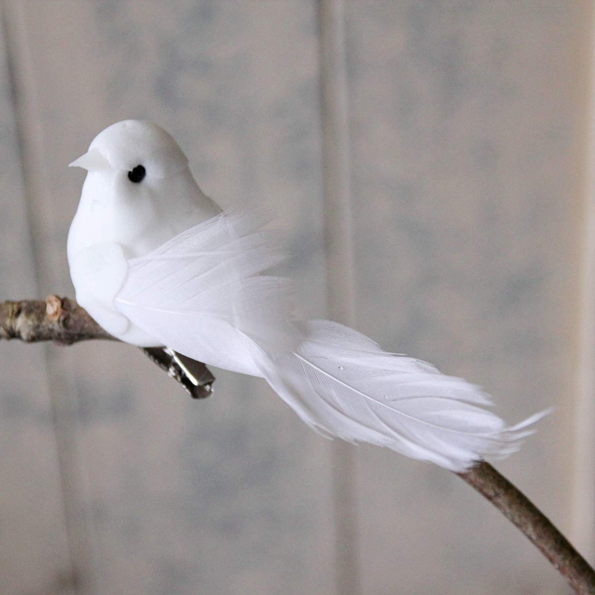 White dove bird for wedding | Beachweddingtips.com