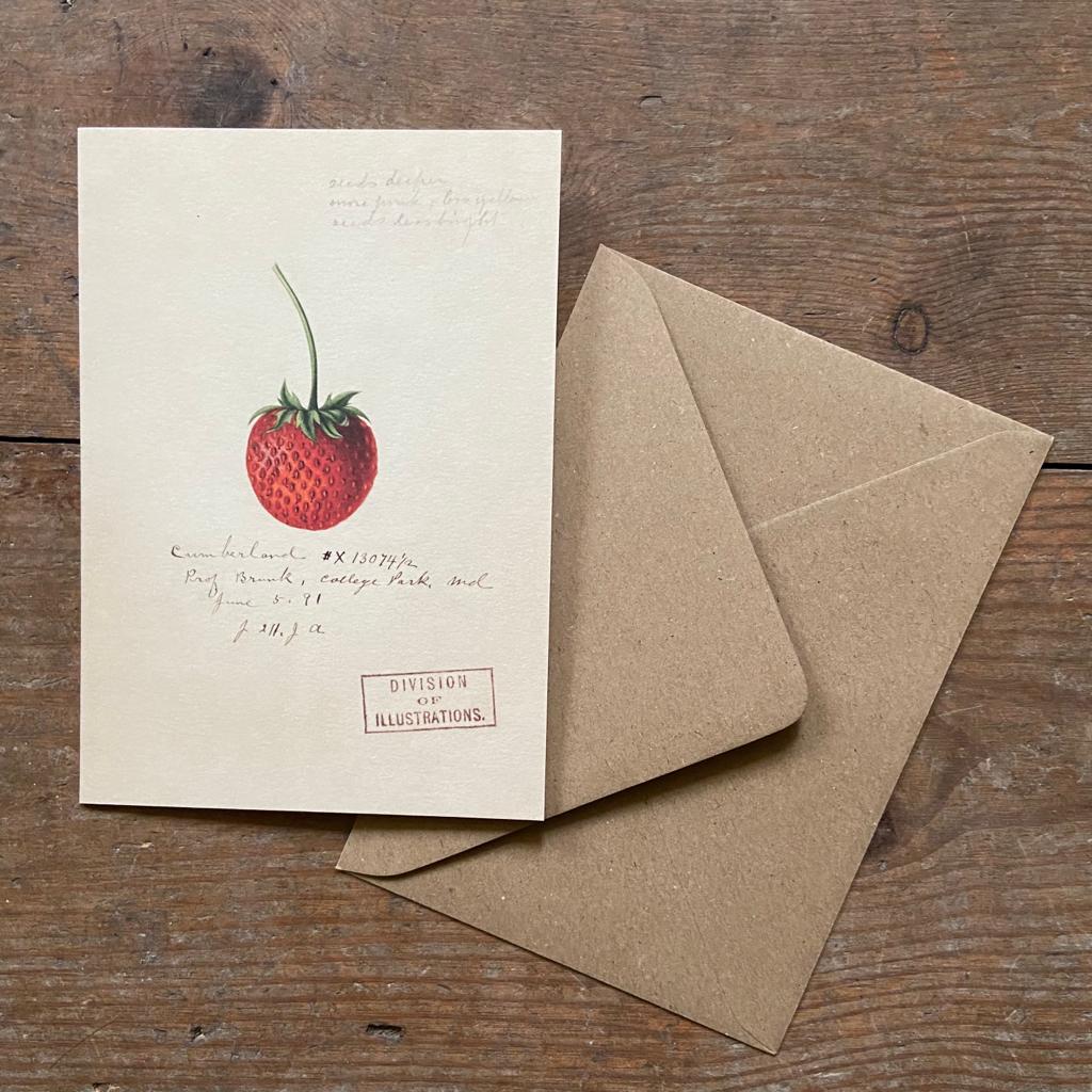 Strawberry Greeting Card | Closet & Botts