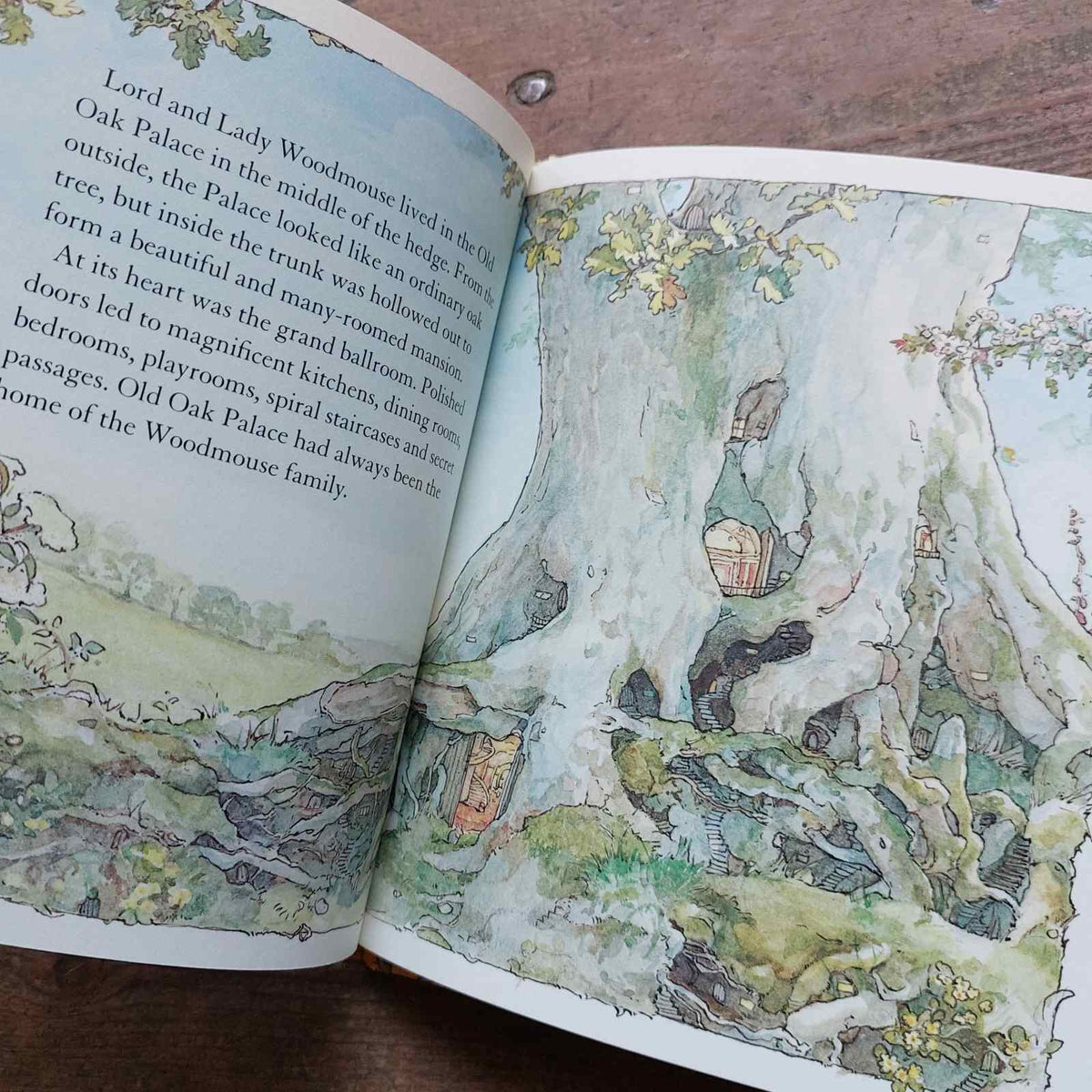 Brambly Hedge - Spring Story | Closet & Botts